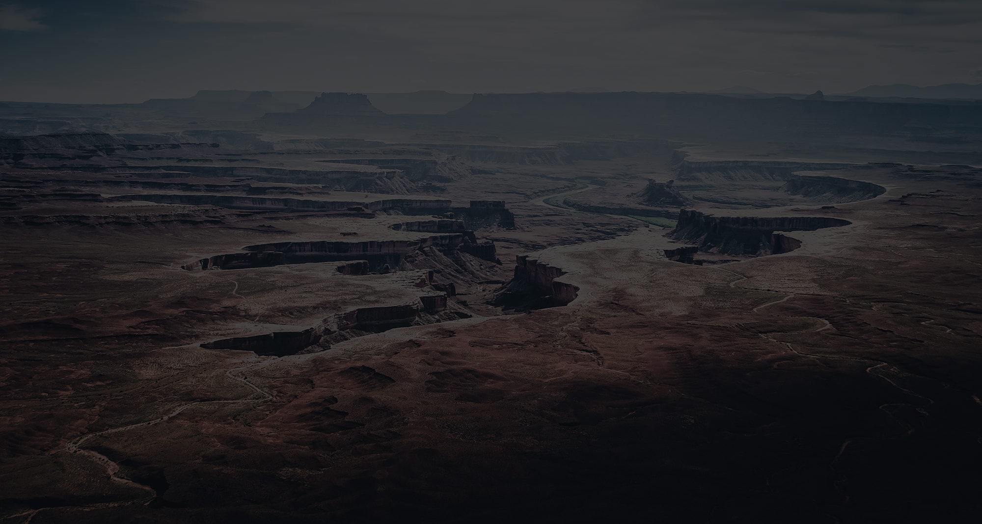 Join the Fish Fry - The Quail Club